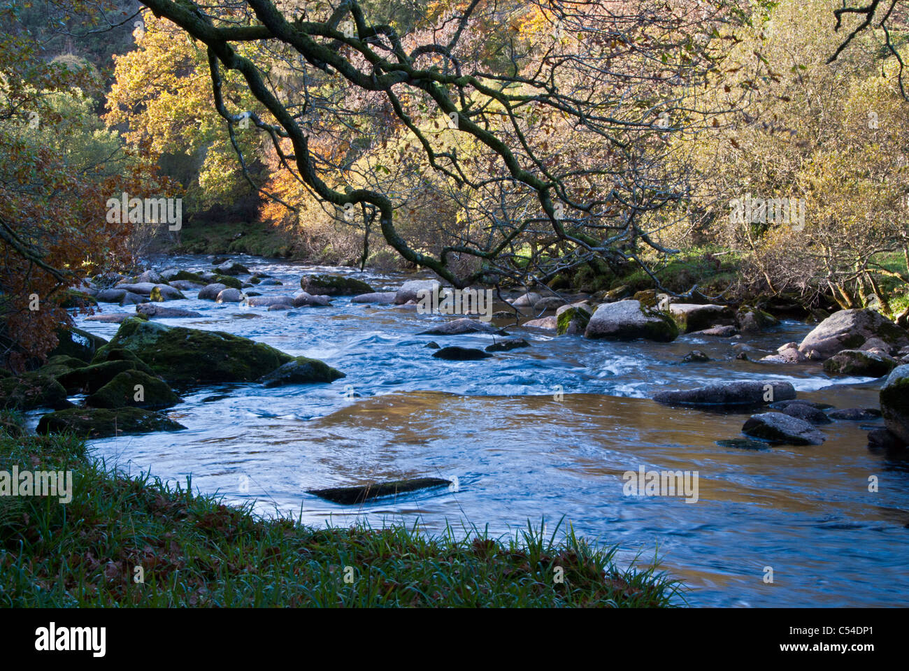 West dart river hi-res stock photography and images - Alamy
