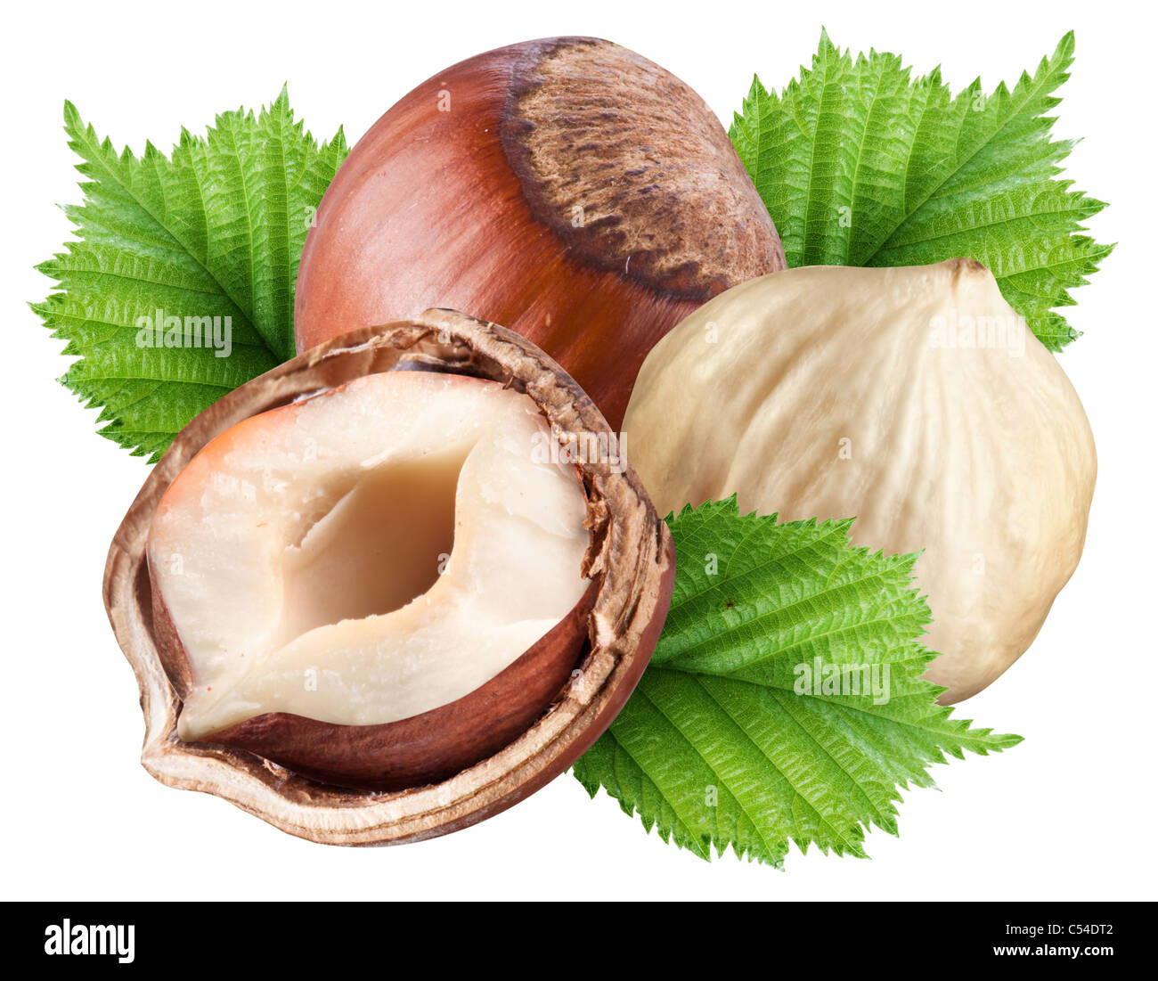 Group of filberts with leaves. Image contains a path to cut Stock Photo ...