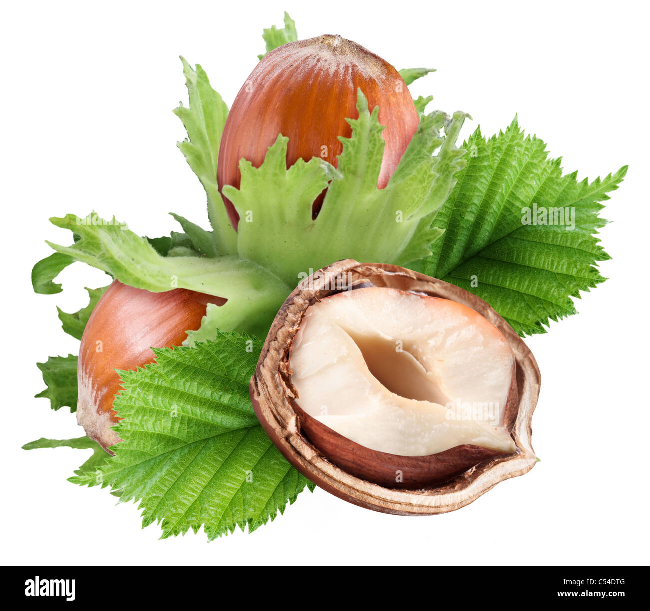 Group of filberts with leaves. Image contains a path to cut Stock Photo ...