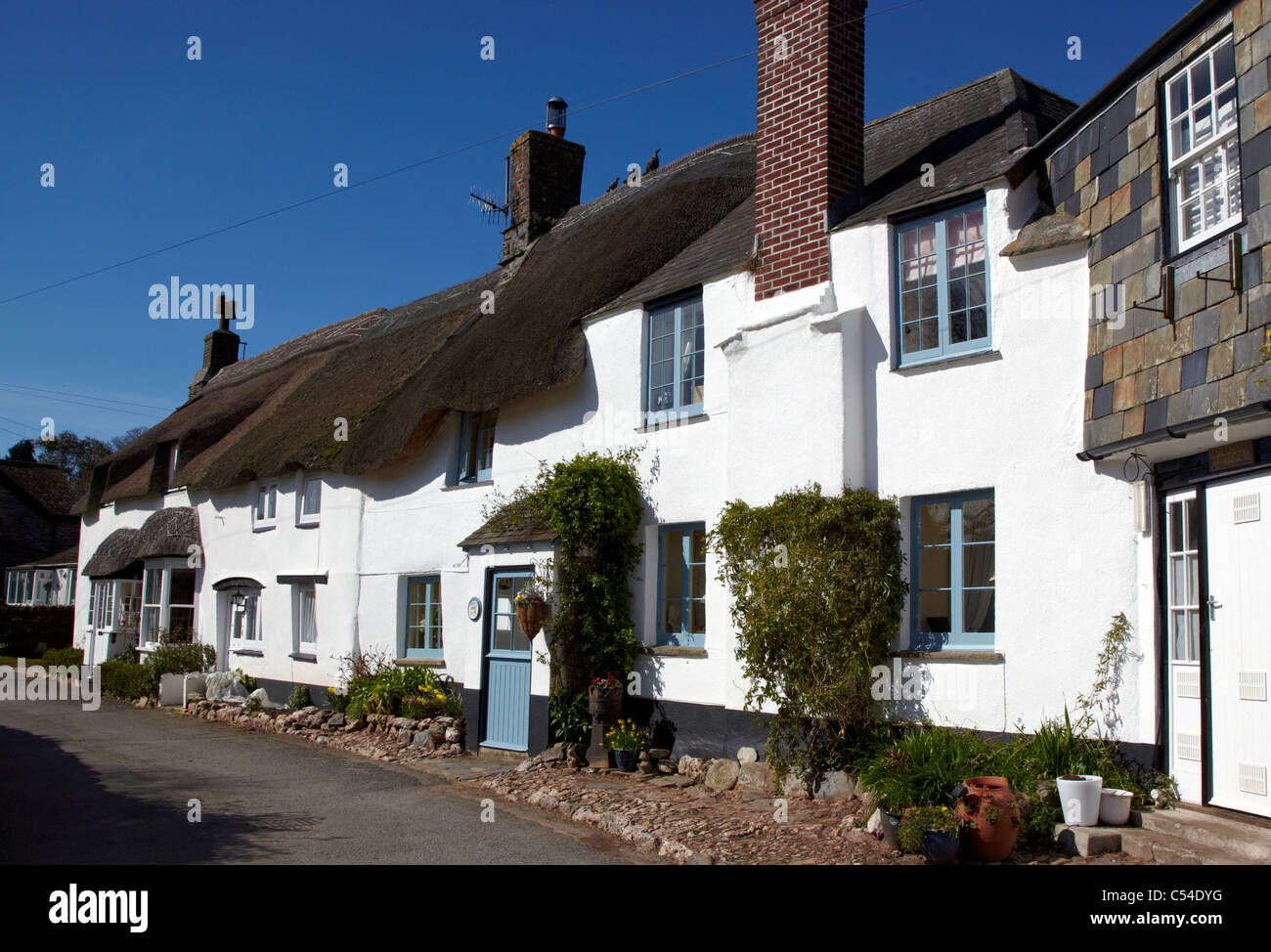 Traditional Row Of Thatched Cottages Devon UK Stock Photo - Alamy