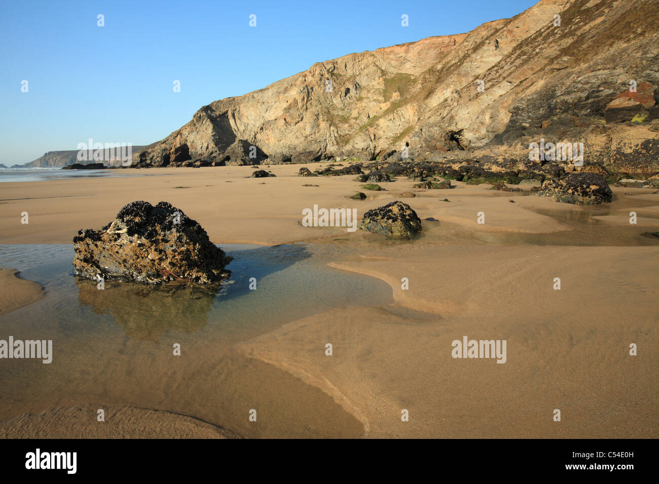 Low tide at Porthtowan beach view towards Chapel Porth, North Cornwall ...