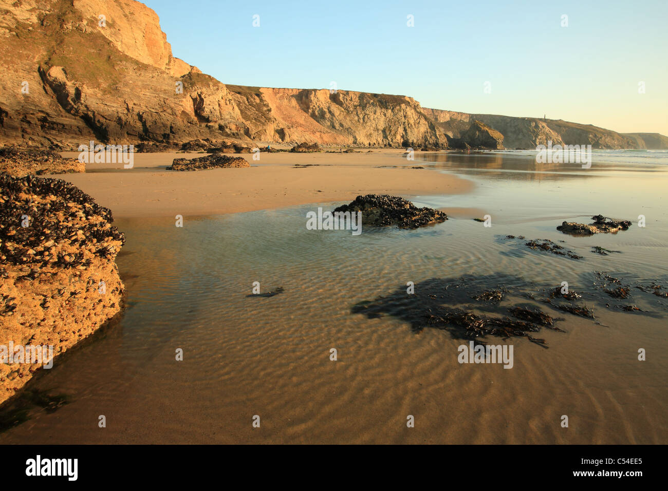 Low tide at Porthtowan beach view looking south, North Cornwall ...
