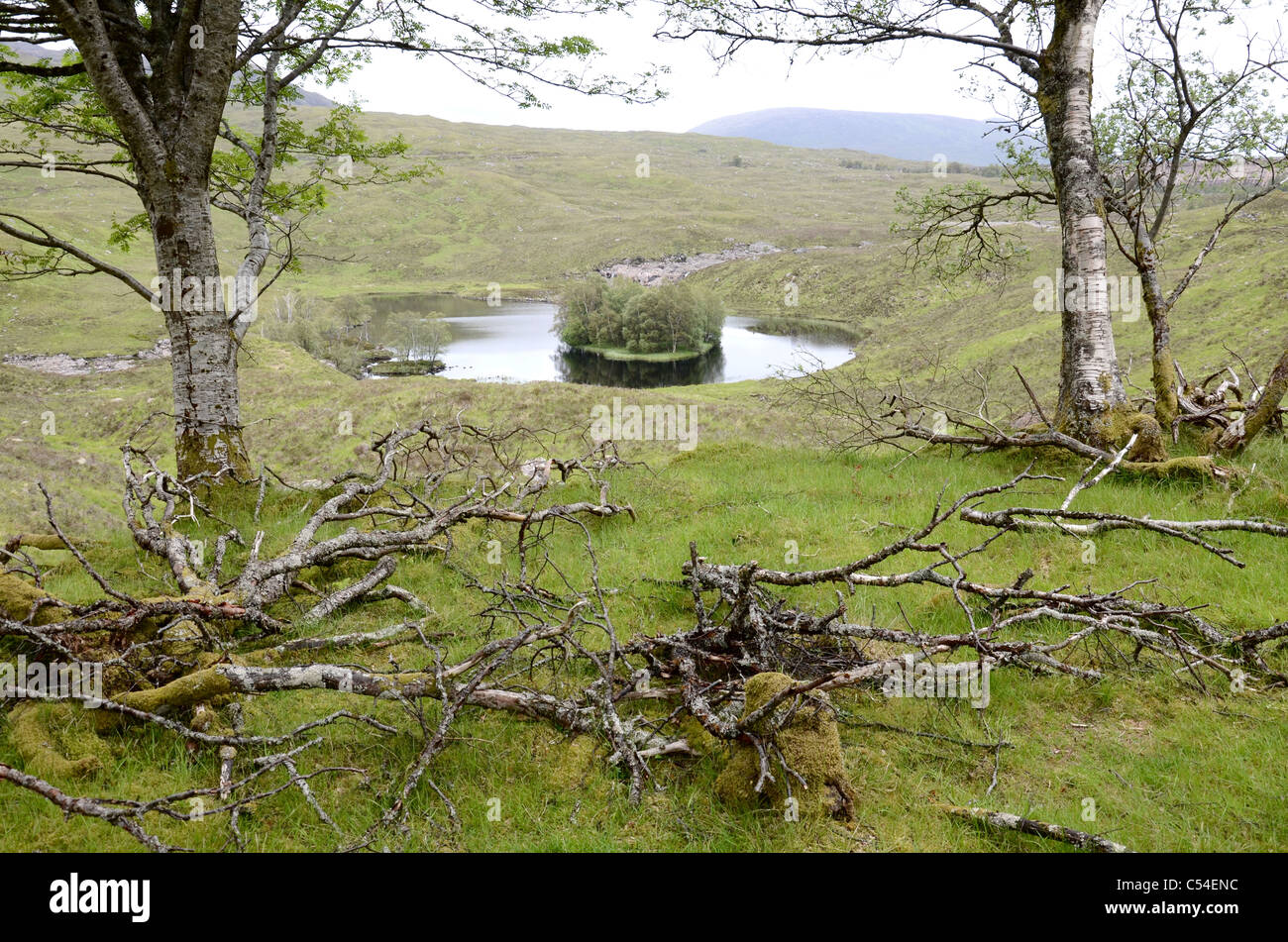 Small Loch High Resolution Stock Photography and Images - Alamy