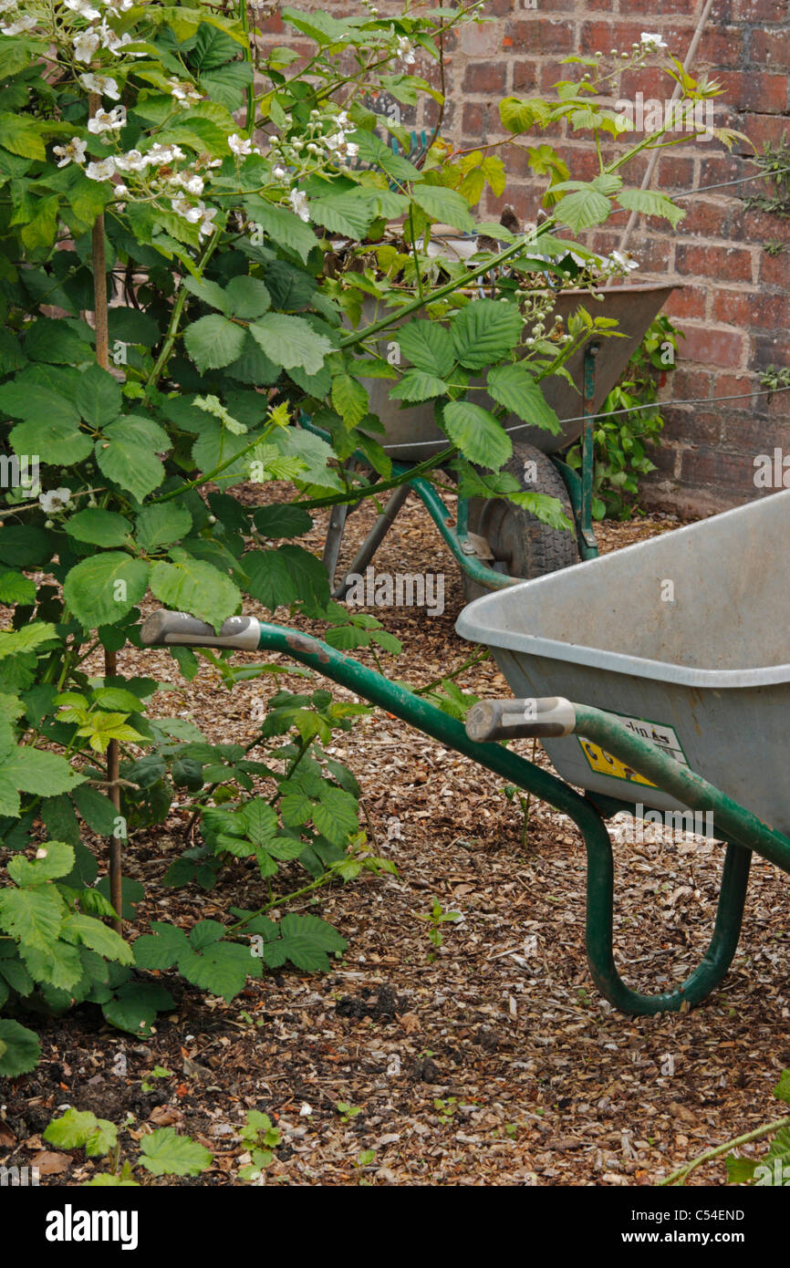 Wheelbarrow in a garden Stock Photo - Alamy