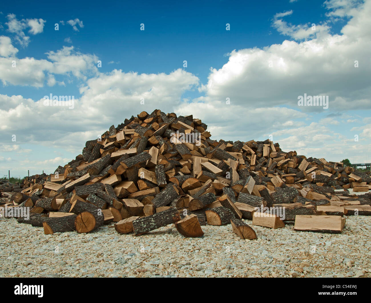 Stack of freshly cut trees on blue sku background Stock Photo - Alamy