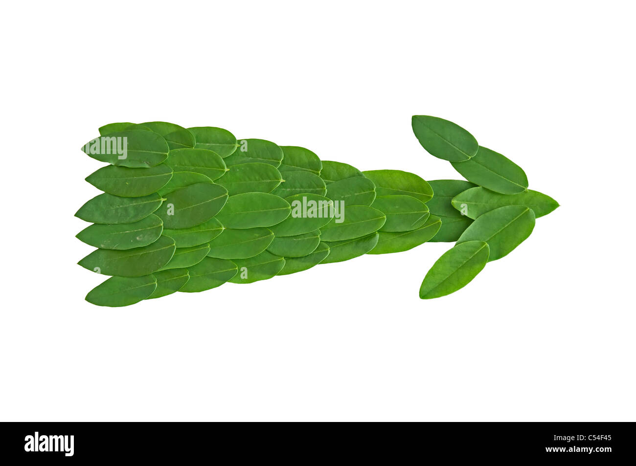 Natural leaf arrow. Leaf made. Isolated on white Stock Photo - Alamy
