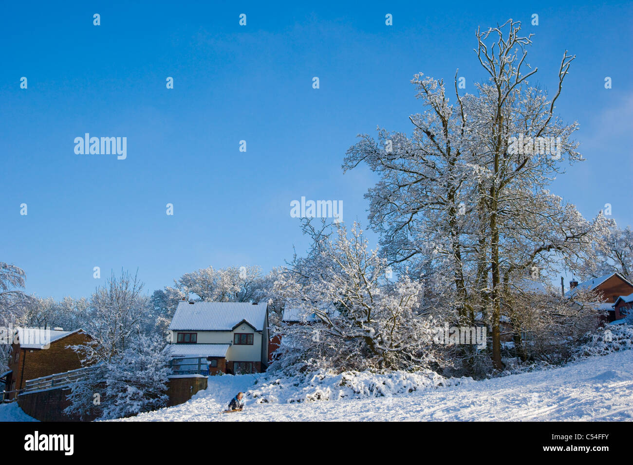 Snowy scenery with a person with sledge, Burghfield Common, Reading ...