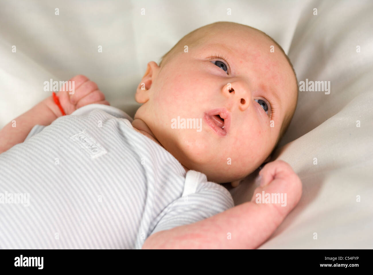 One and a half month old baby girl Stock Photo - Alamy