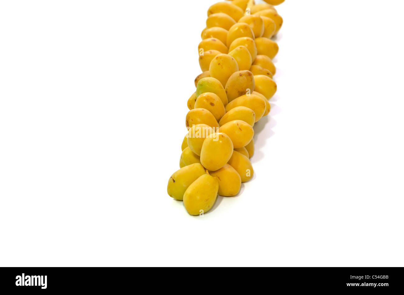 Date palm leaf dried Cut Out Stock Images & Pictures - Alamy