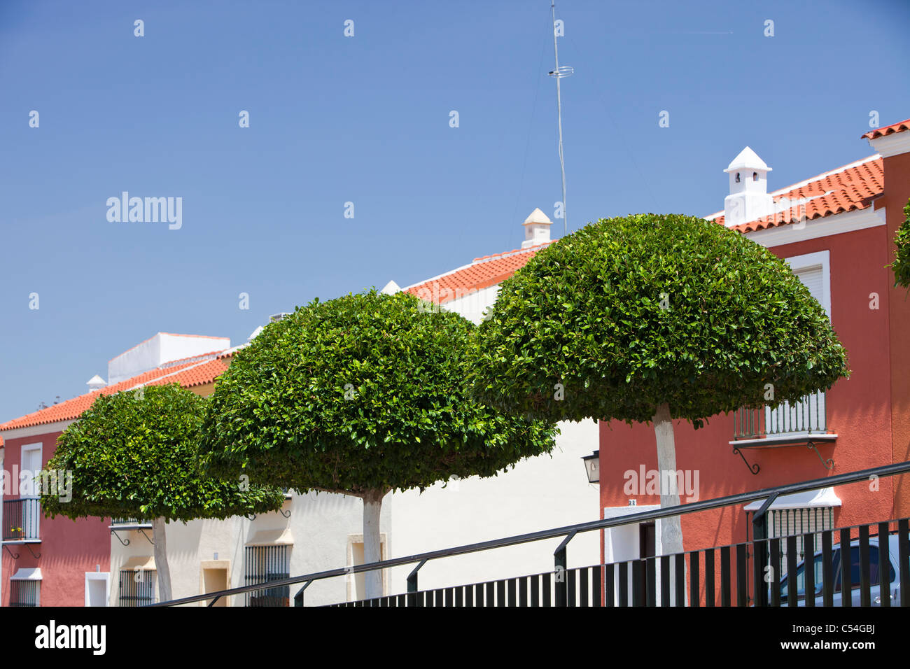 Dome shaped tree hi-res stock photography and images - Alamy