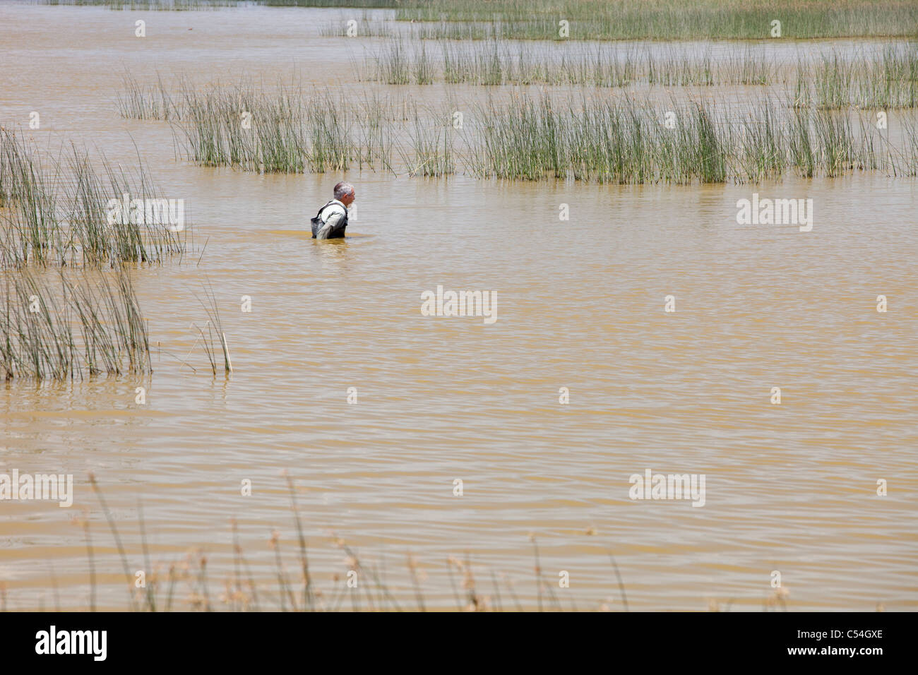 Man male wade wading fishing hi-res stock photography and images - Alamy