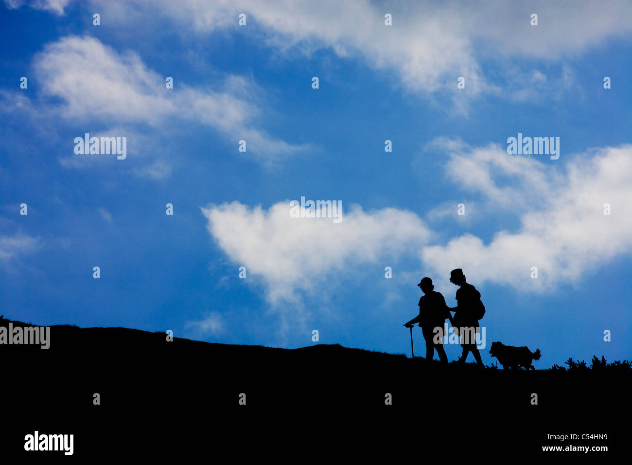 Tennyson Down, Needles, Headon Warren, Isle of Wight Walking Festival ...