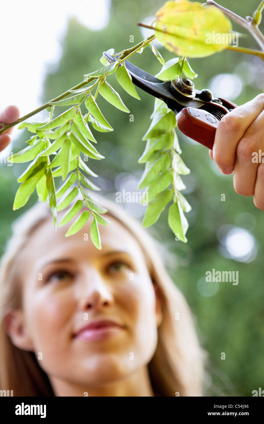 Young woman pruning plants Stock Photo - Alamy
