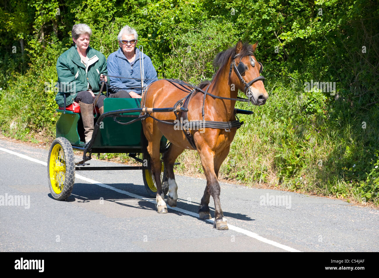 Horse And Trap Stock Photos & Horse And Trap Stock Images - Alamy
