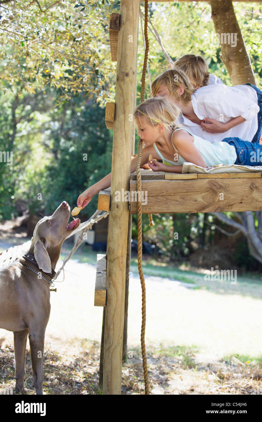 Children feeding a dog from tree house Stock Photo - Alamy