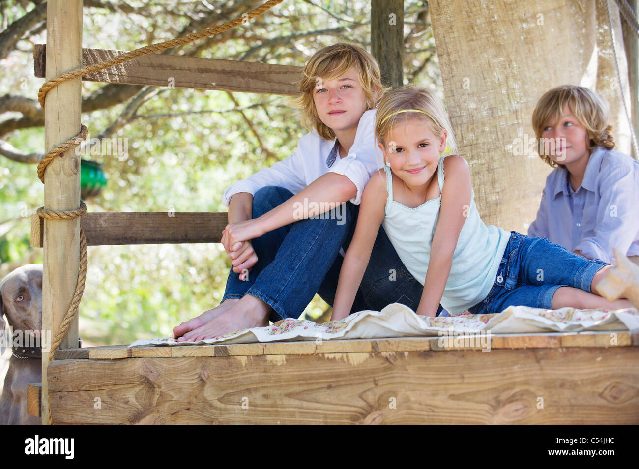 Portrait of children sitting in tree house Stock Photo - Alamy