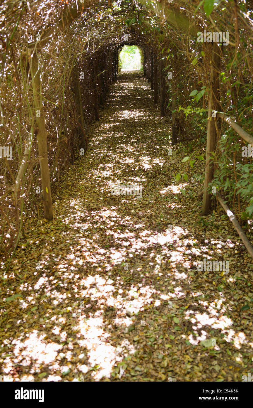 Narrow path passing through a tunnel Stock Photo - Alamy