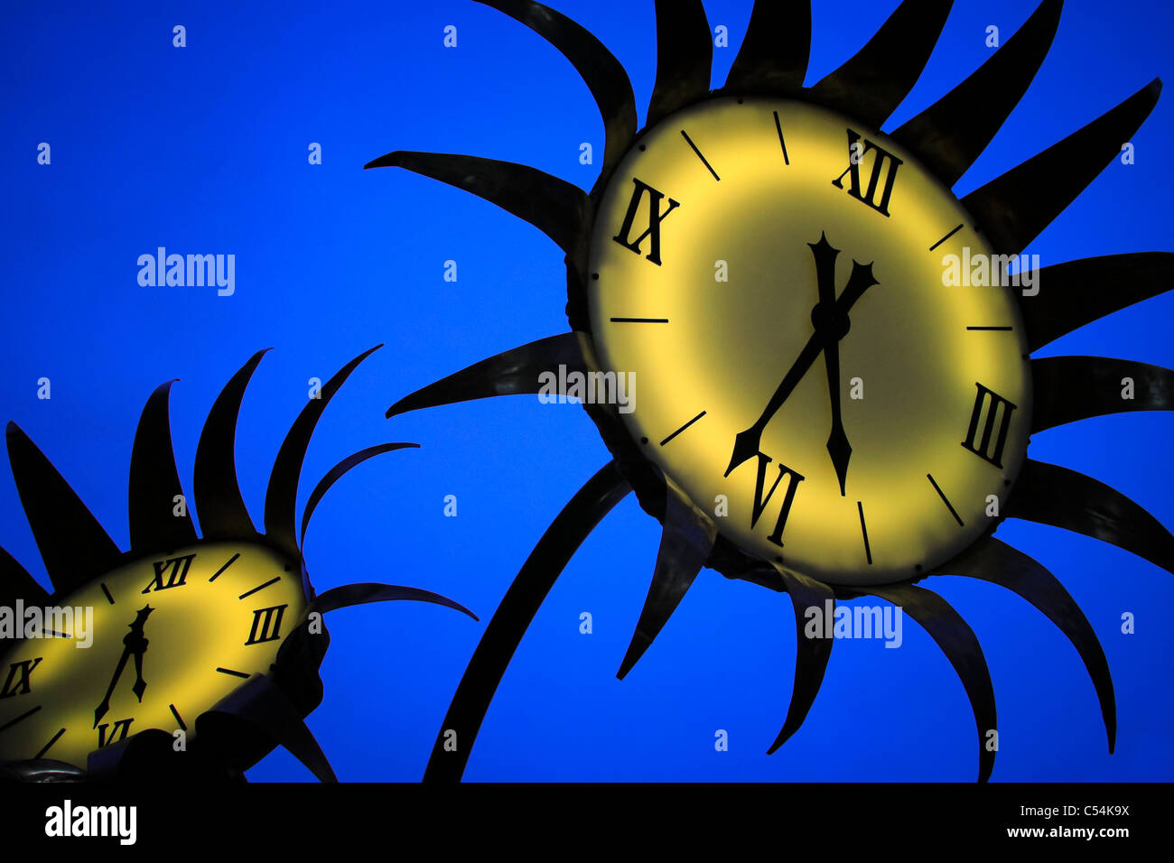 The bright yellow faces of two clocks resembling sunflowers and shoot ...