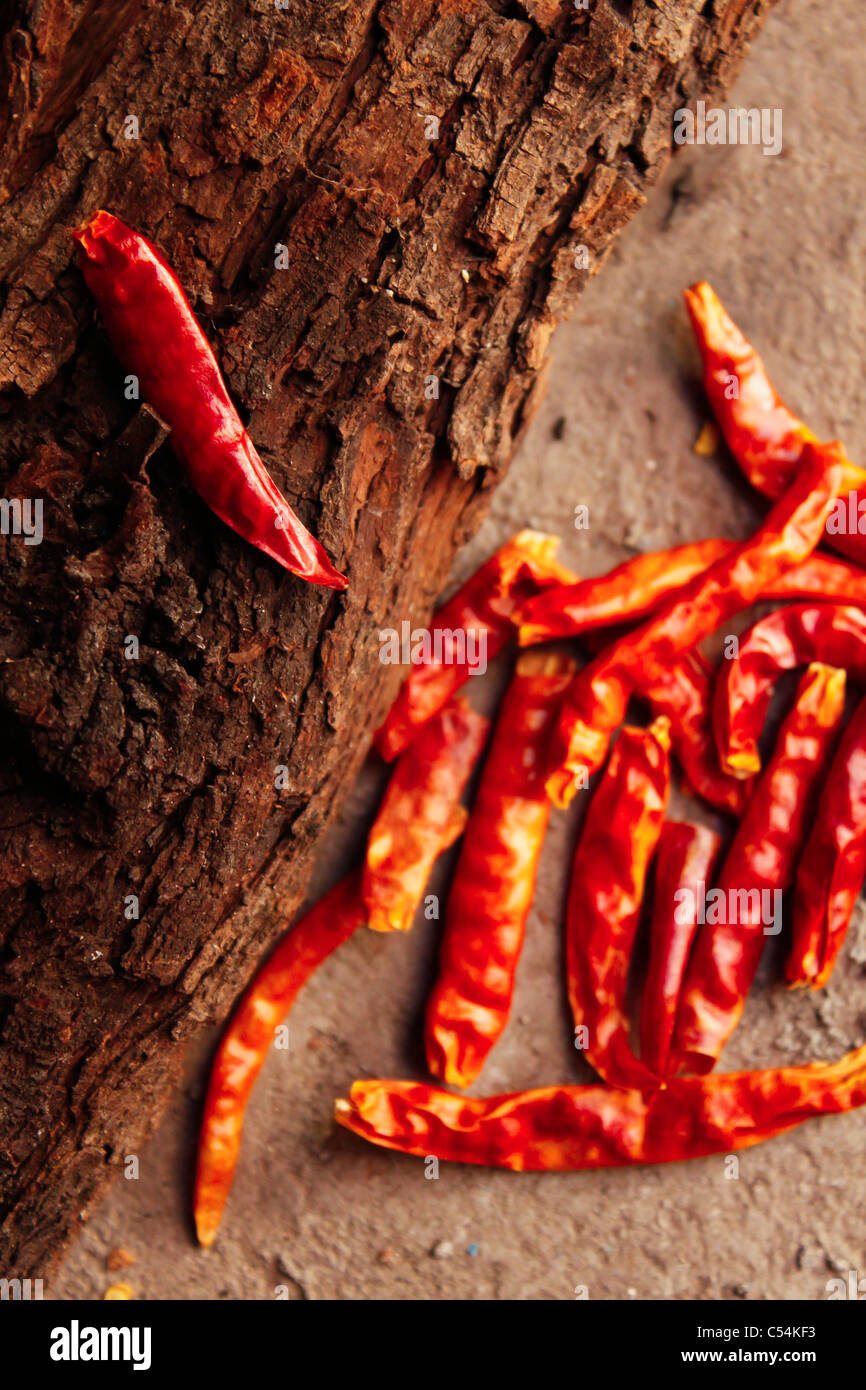 Red chilli tree hi-res stock photography and images - Alamy