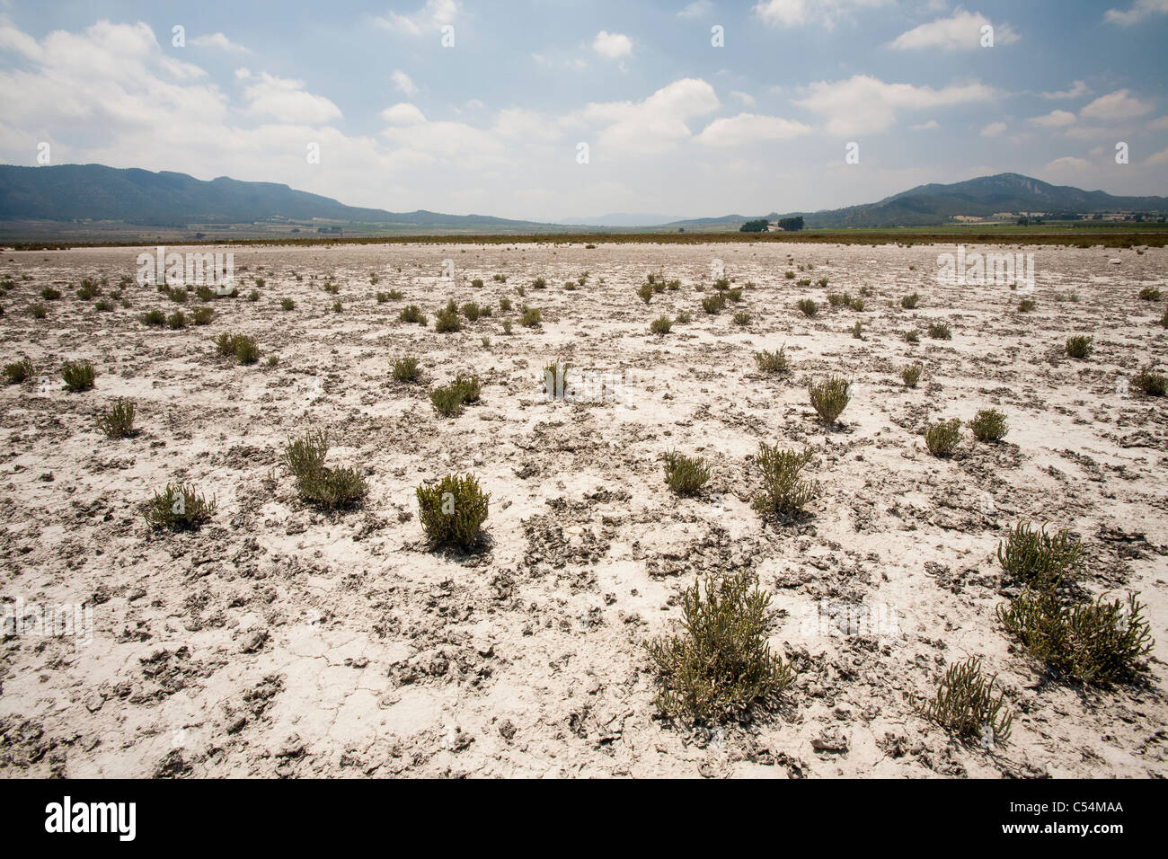 Dried salt bed hi-res stock photography and images - Alamy