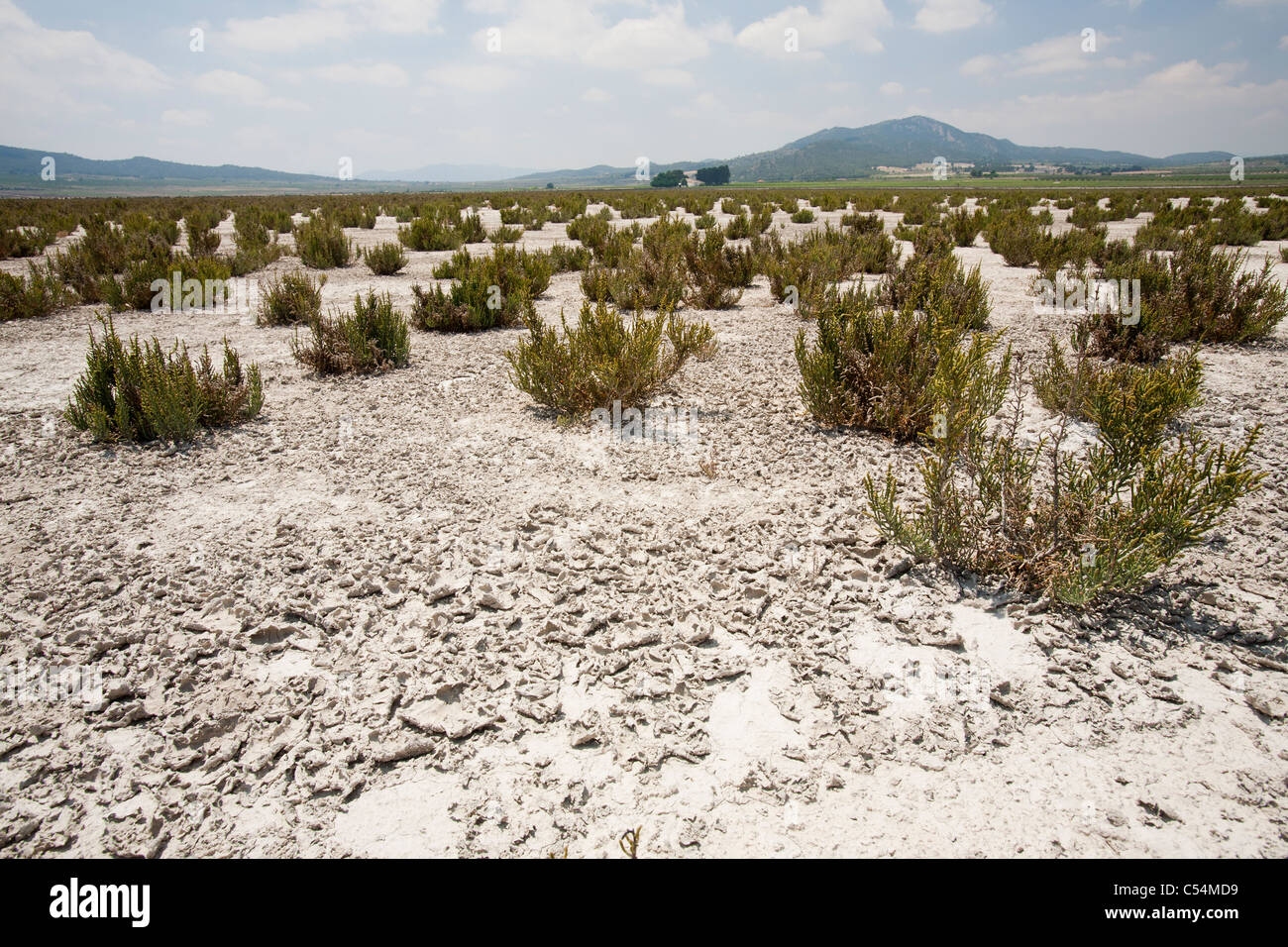 The dried up lake bed of the salt lake at Salinas in Murcia Spain Stock ...