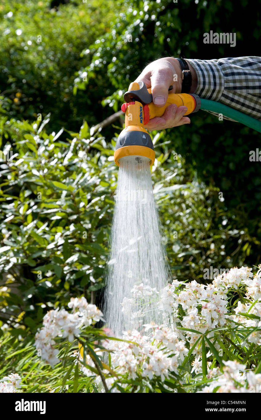 Sprays Of Flowers Stock Photos & Sprays Of Flowers Stock Images - Alamy