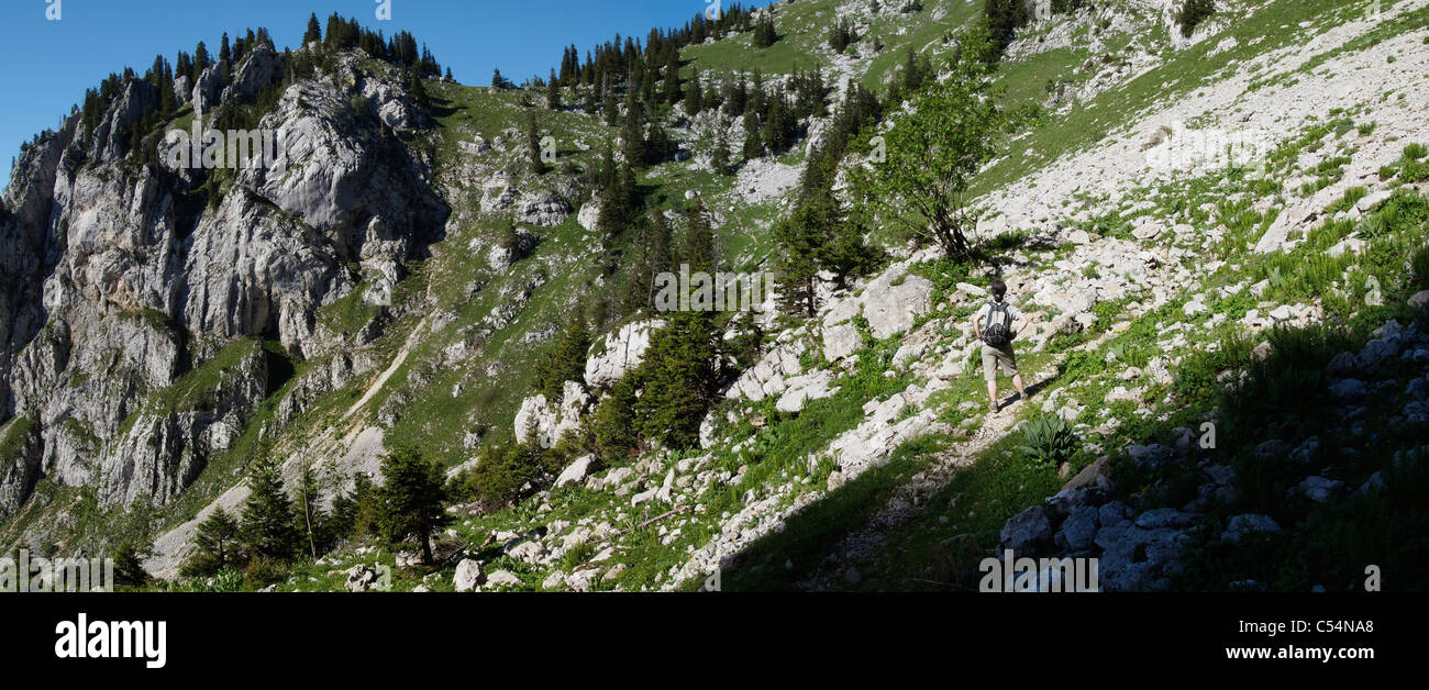 Chartreuse france hi-res stock photography and images - Alamy
