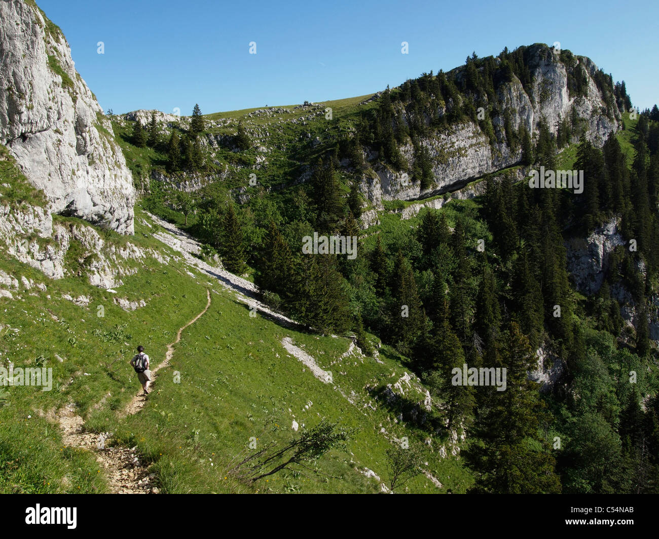 Chartreuse france hi-res stock photography and images - Alamy