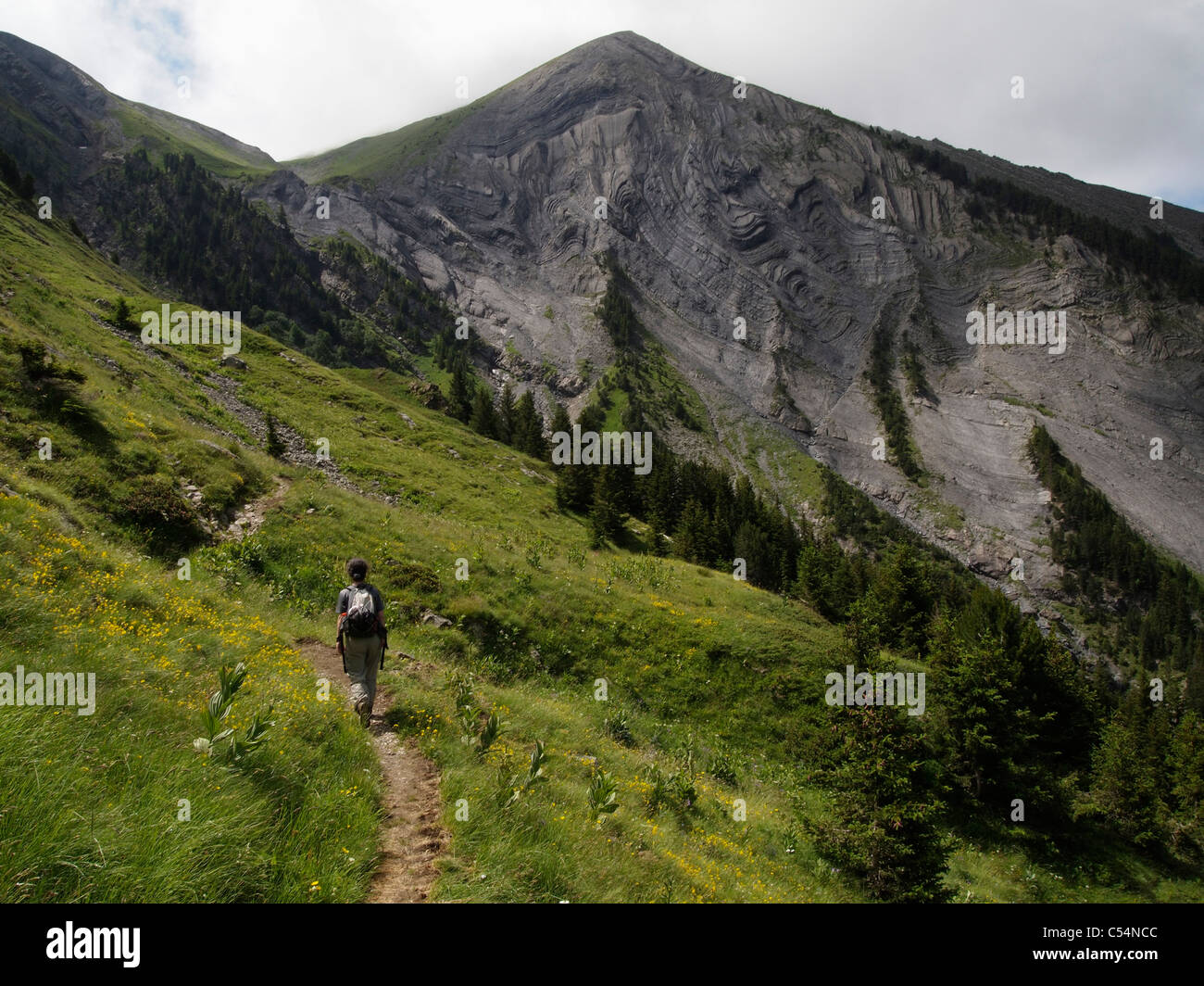 Folded strata in cliffs below Lac du Vallon, Ecrins, French Alps Stock ...