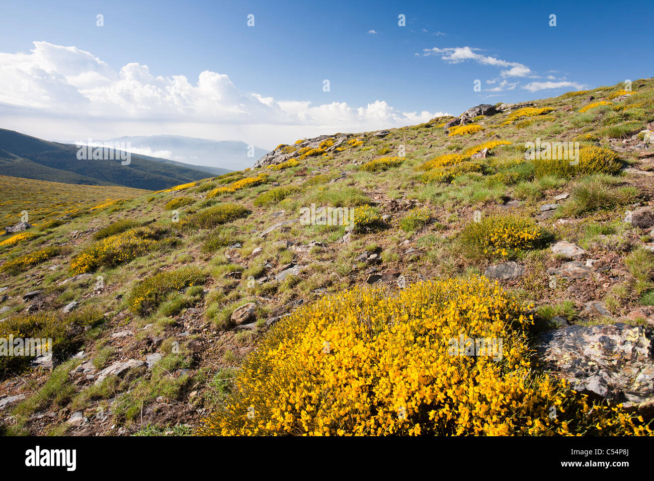 8 000 mountain hi-res stock photography and images - Alamy
