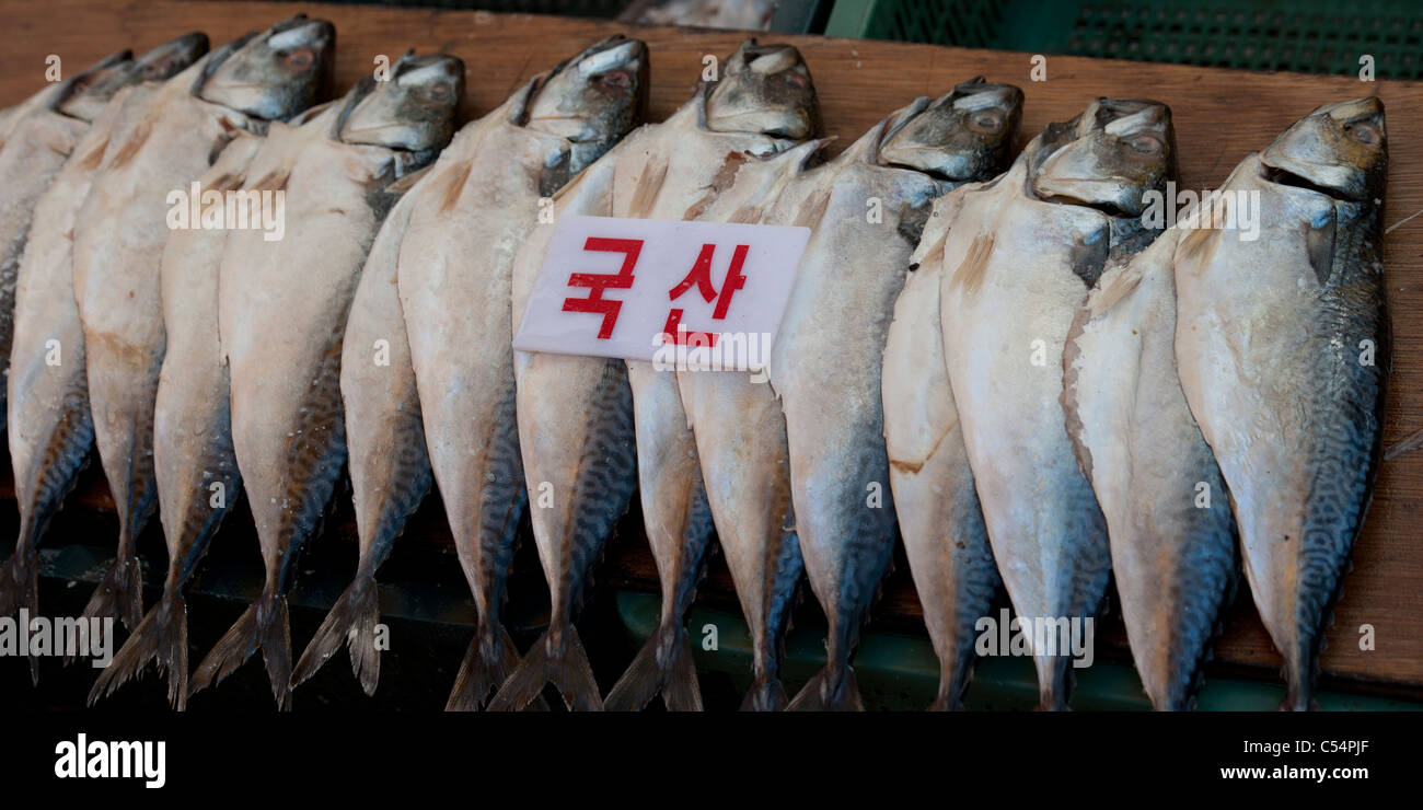 Fish at a stall in a fish market, Busan, Yeongnam, South Korea Stock ...