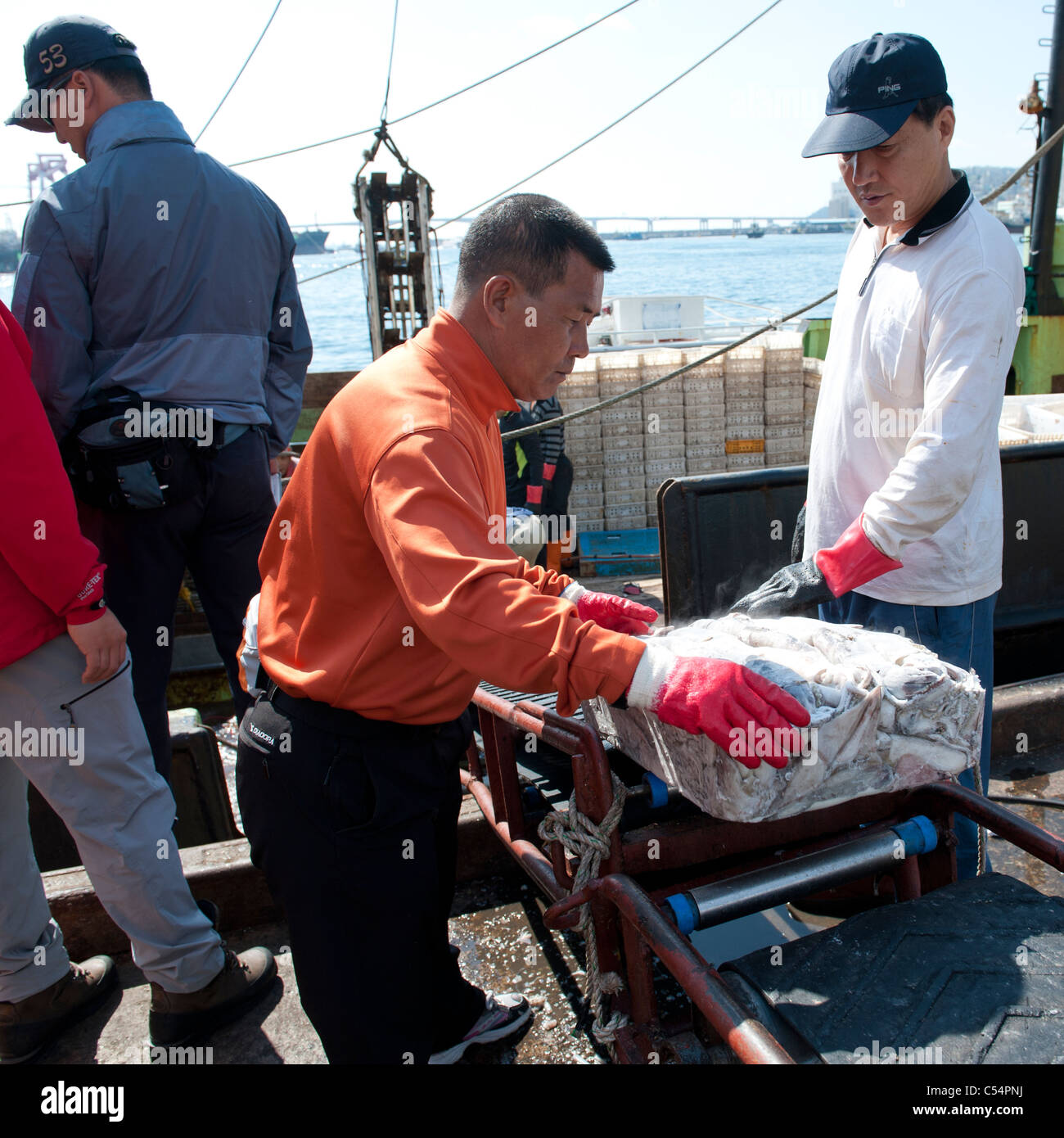 Packed fish for export in a fish market, Busan, Yeongnam, South Korea ...