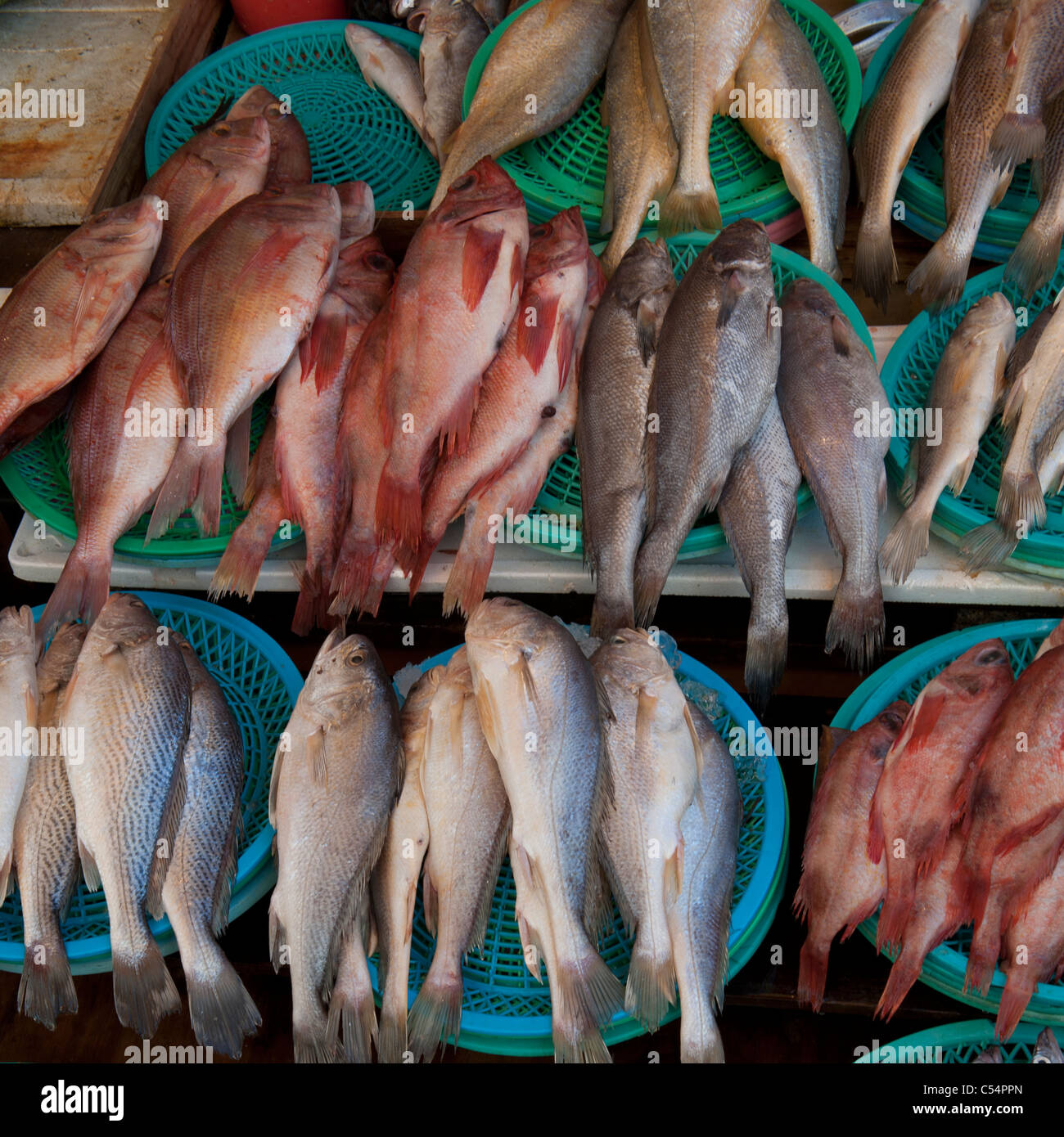 Fish at a stall in a fish market, Busan, Yeongnam, South Korea Stock ...