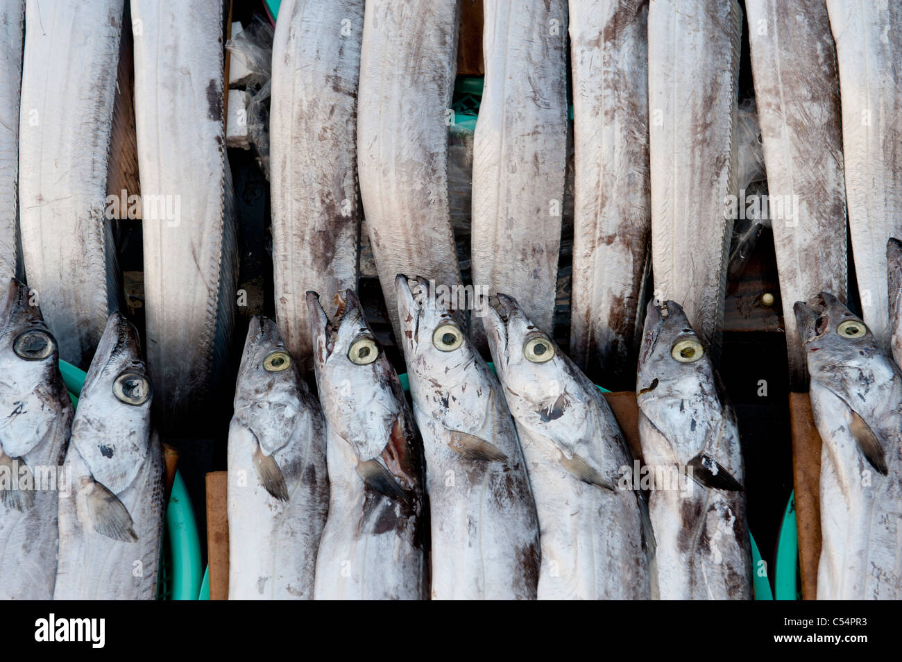 Fish market in pusan hi-res stock photography and images - Alamy