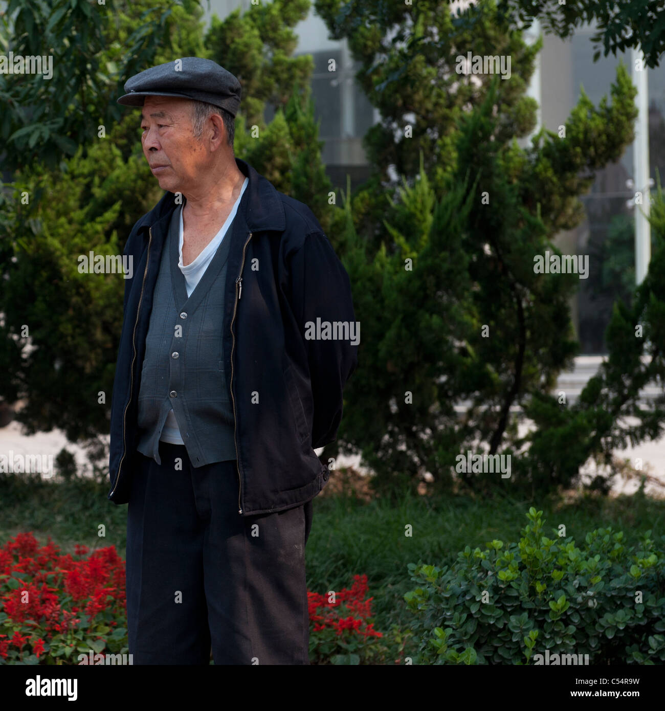 Man standing in a garden, Binhai, Tianjin, China Stock Photo - Alamy