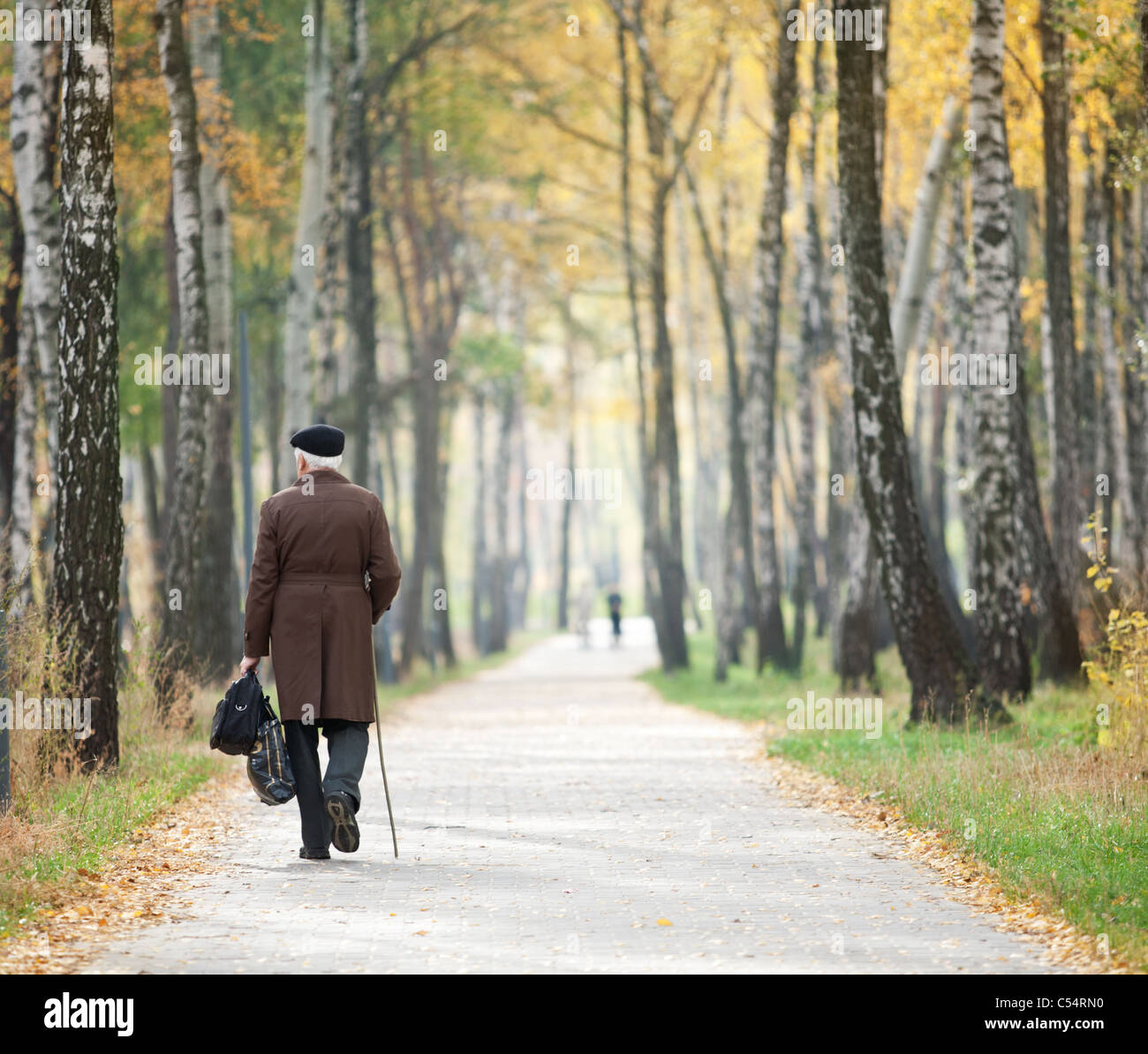 Old man walking in autumn park Stock Photo - Alamy