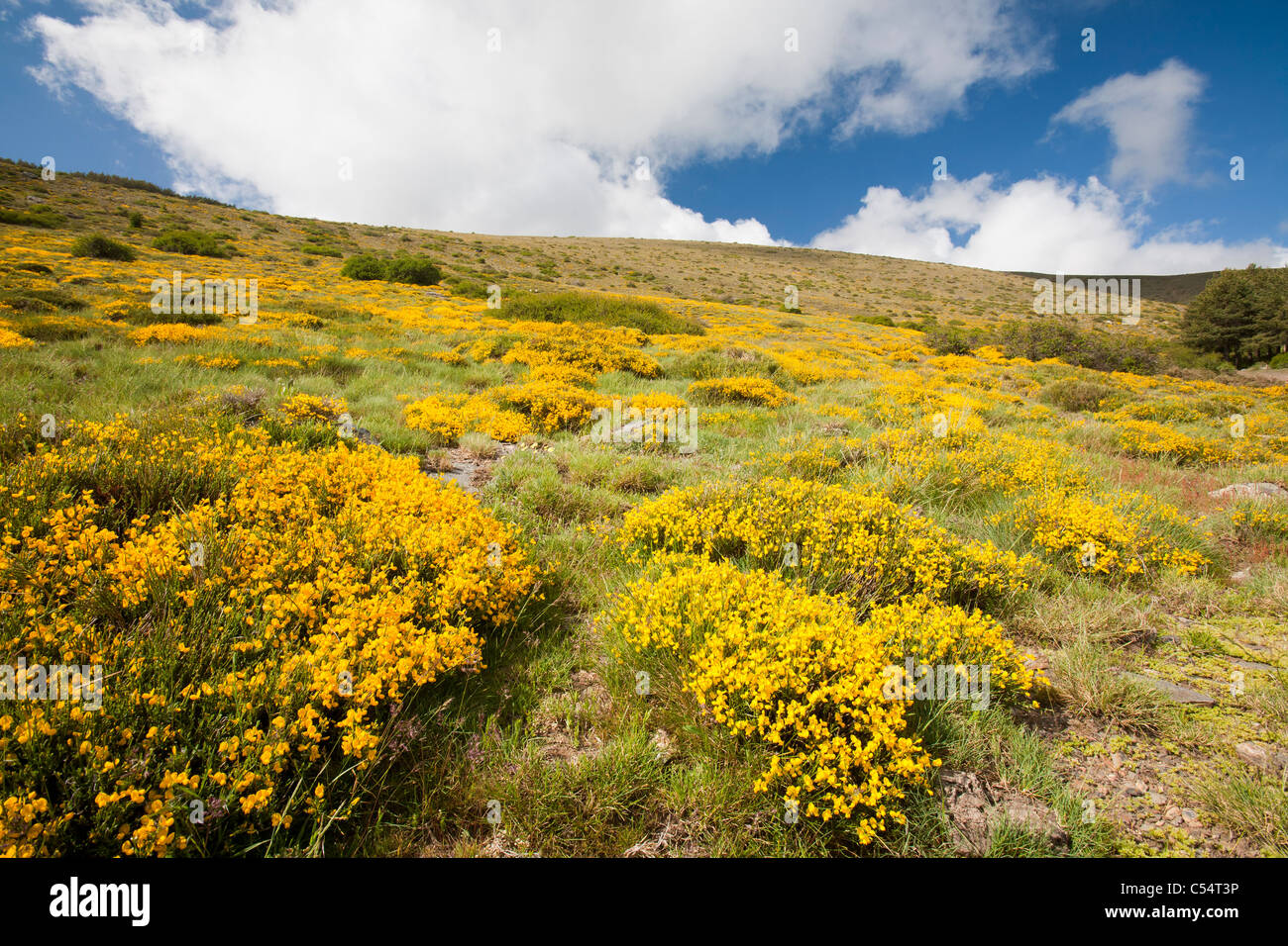 8 000 mountain hi-res stock photography and images - Alamy