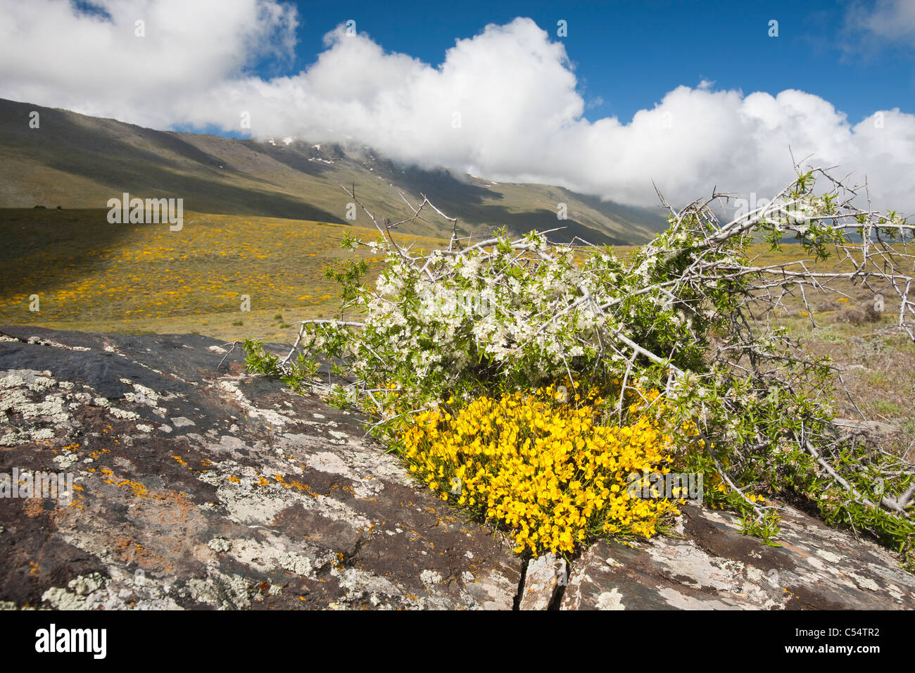 8 000 mountain hi-res stock photography and images - Alamy
