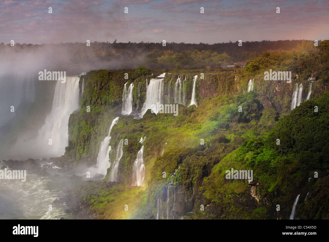 Waterfalls in a forest, Iguacu Falls, Argentina-Brazil Border Stock ...