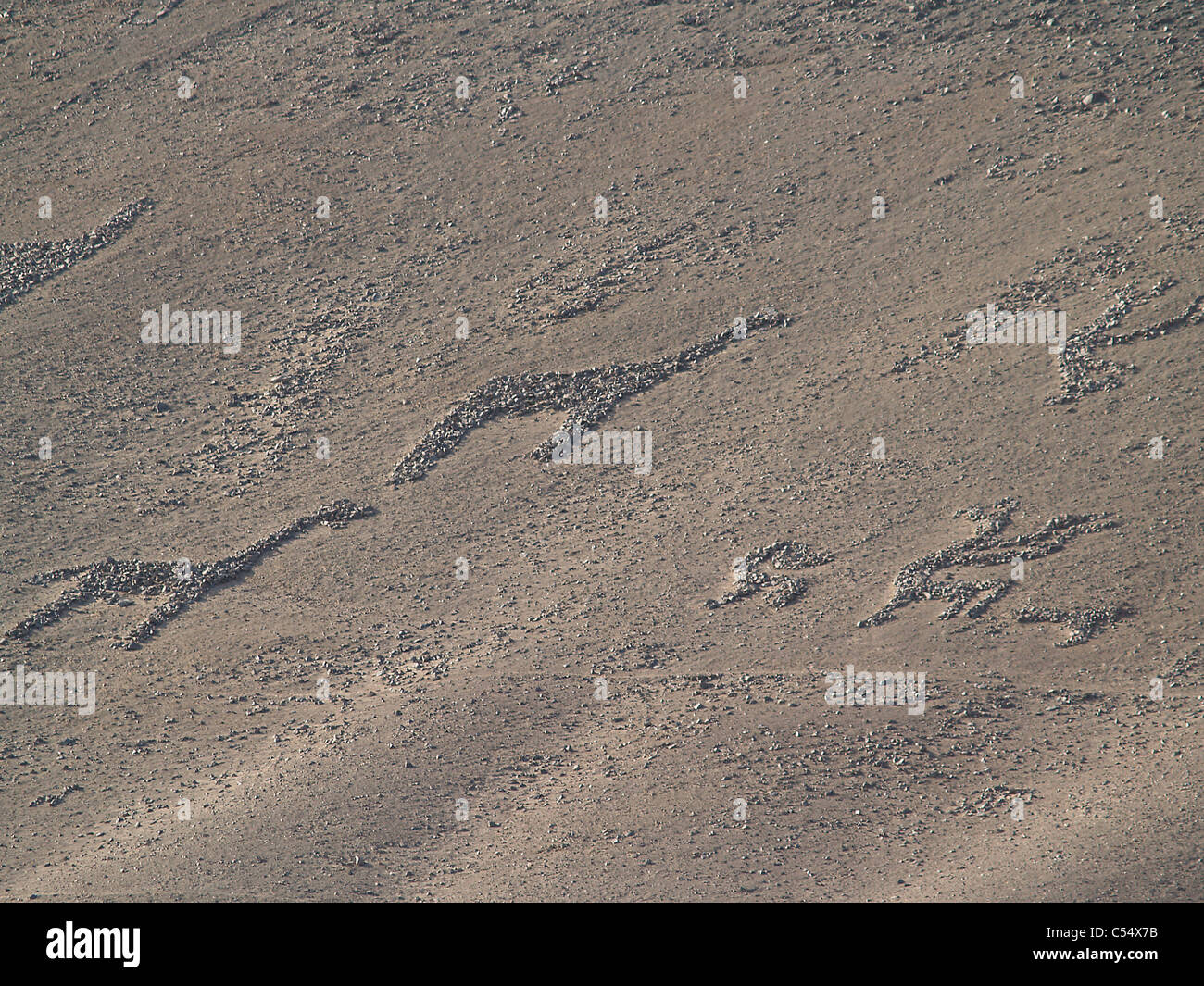 Geoglyphs,Azapa Valley, Arica,Chile Stock Photo - Alamy