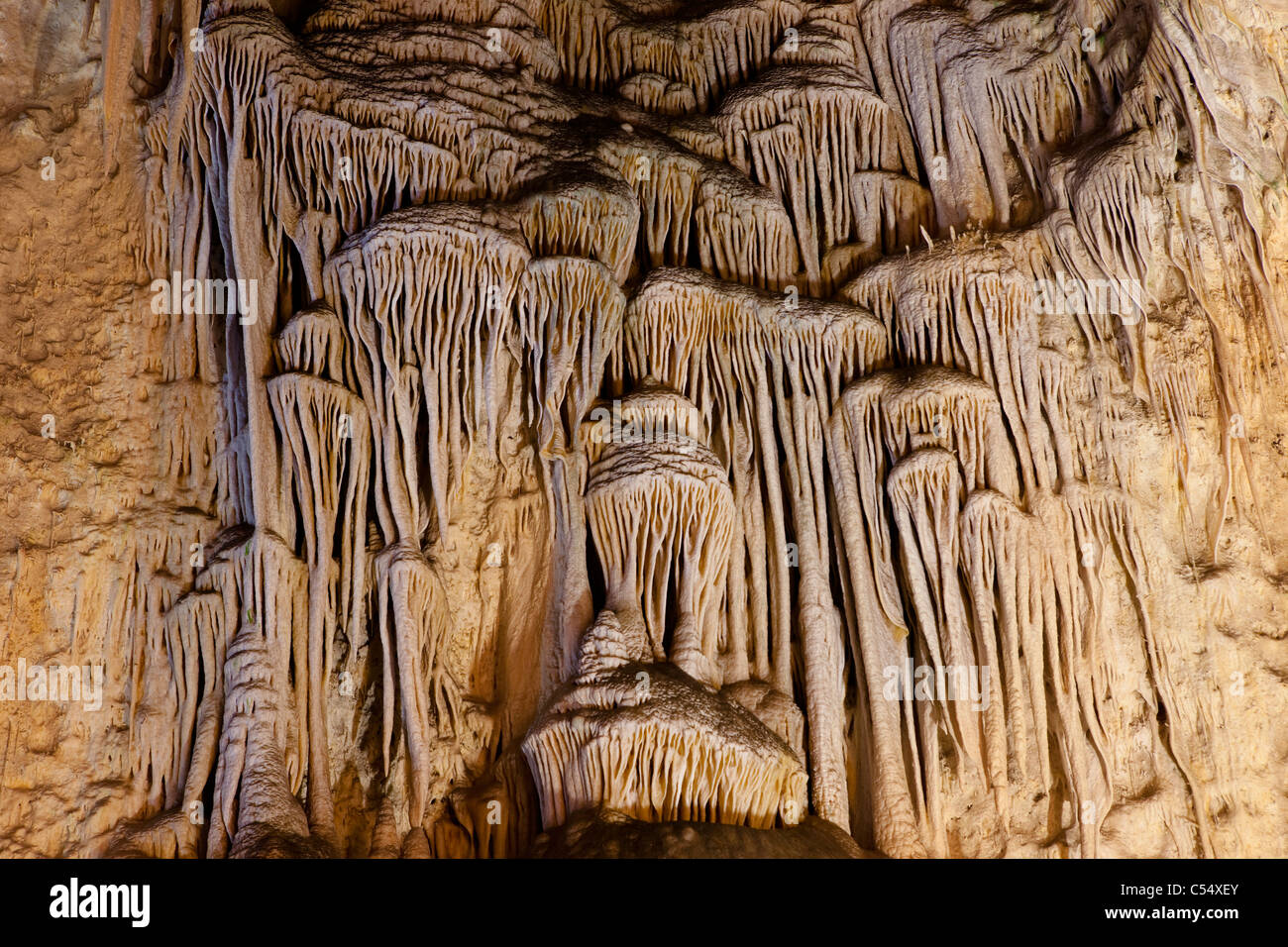 USA, New Mexico, Carlsbad Caverns National Park, Carlsbad Caverns Stock ...
