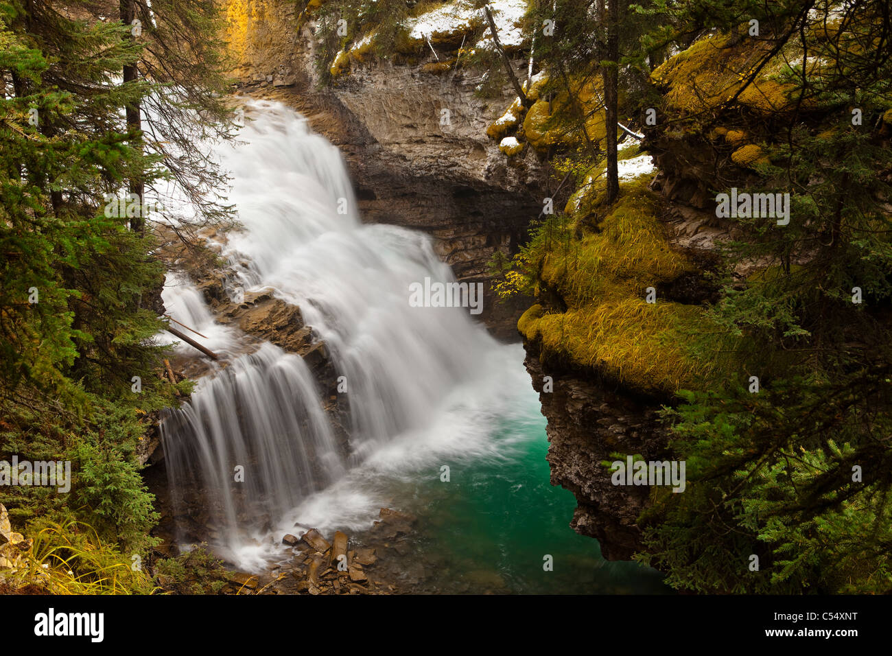 High angle view of a waterfall, Johnston Creek, Johnston Canyon, Bow Valley Parkway, Banff ...