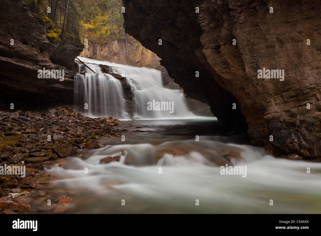 Waterfall in a forest, Johnston Creek, Johnston Canyon, Bow Valley Parkway, Banff National Park ...
