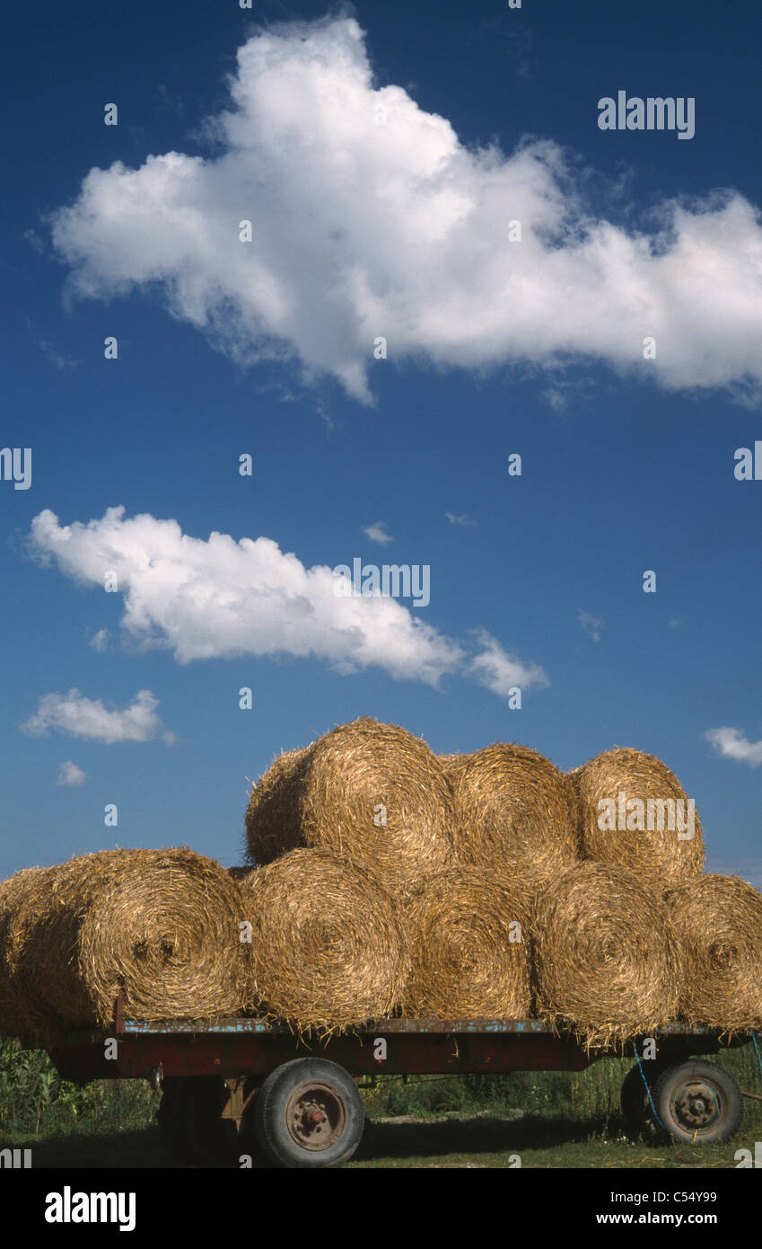 Hay bales on a vehicle trailer Stock Photo - Alamy