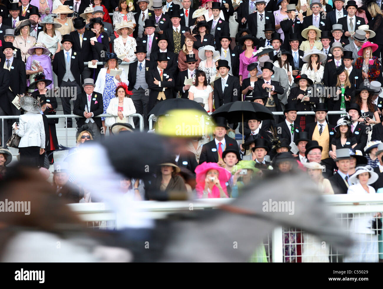 Berkshire ascot racehorse hi-res stock photography and images - Alamy