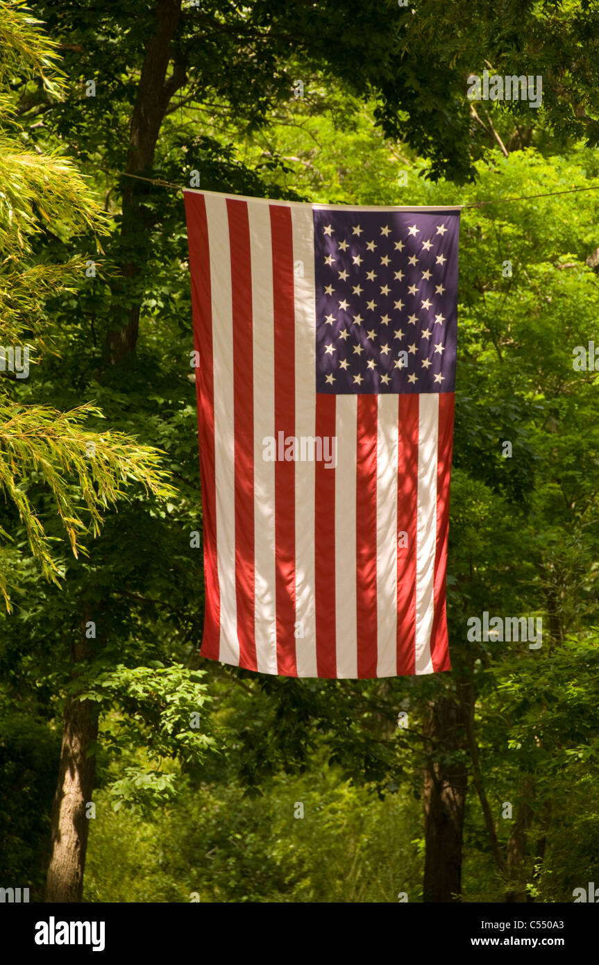 American Flag hanging from trees Stock Photo - Alamy
