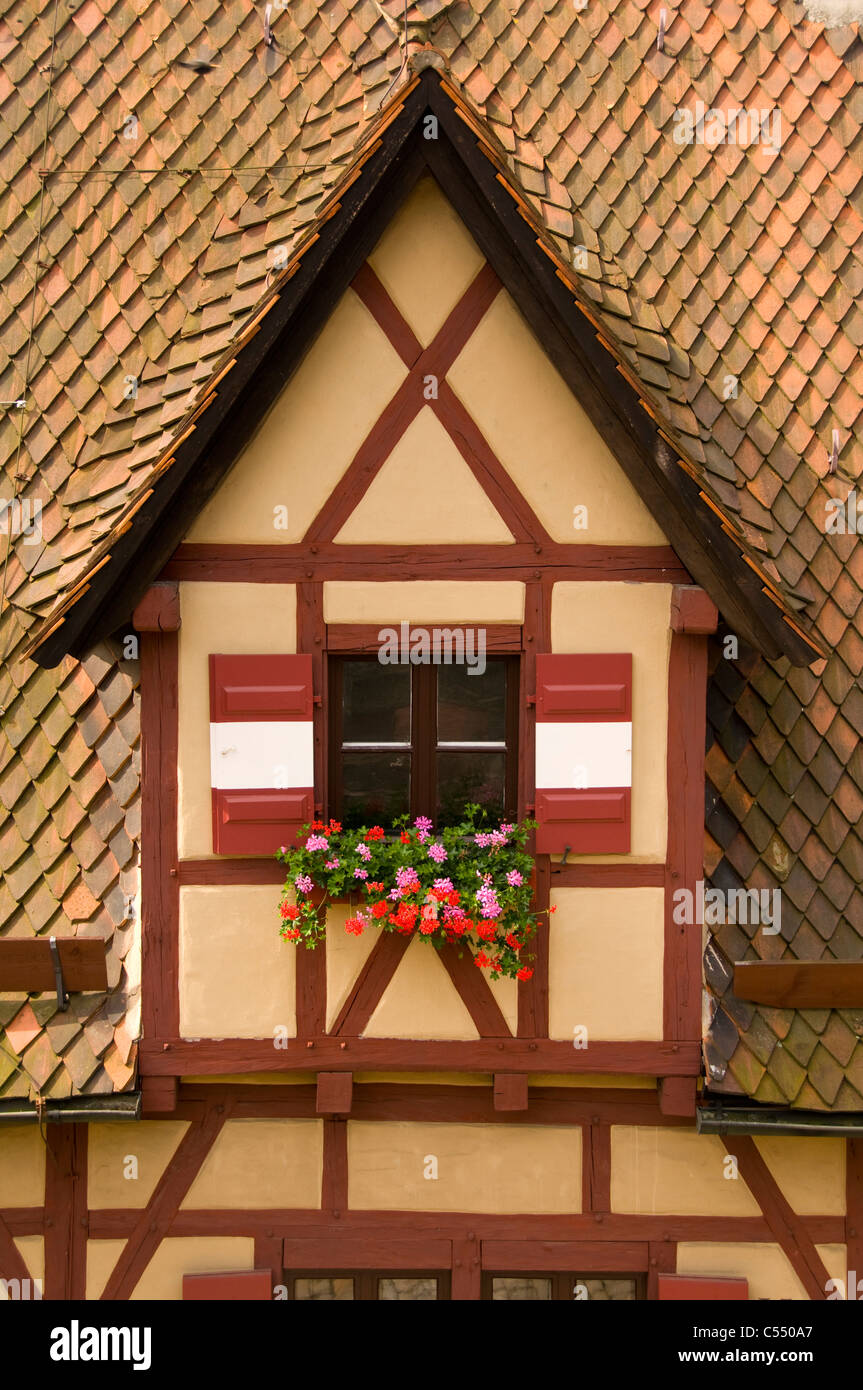 Window box on a window, Nuremberg, Franconia, Bavaria, Germany Stock ...