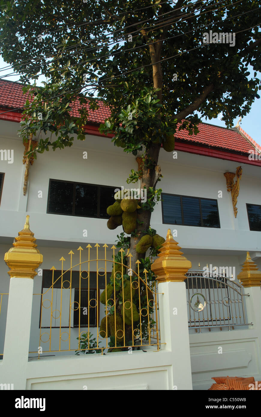 Bucha palace hi-res stock photography and images - Alamy