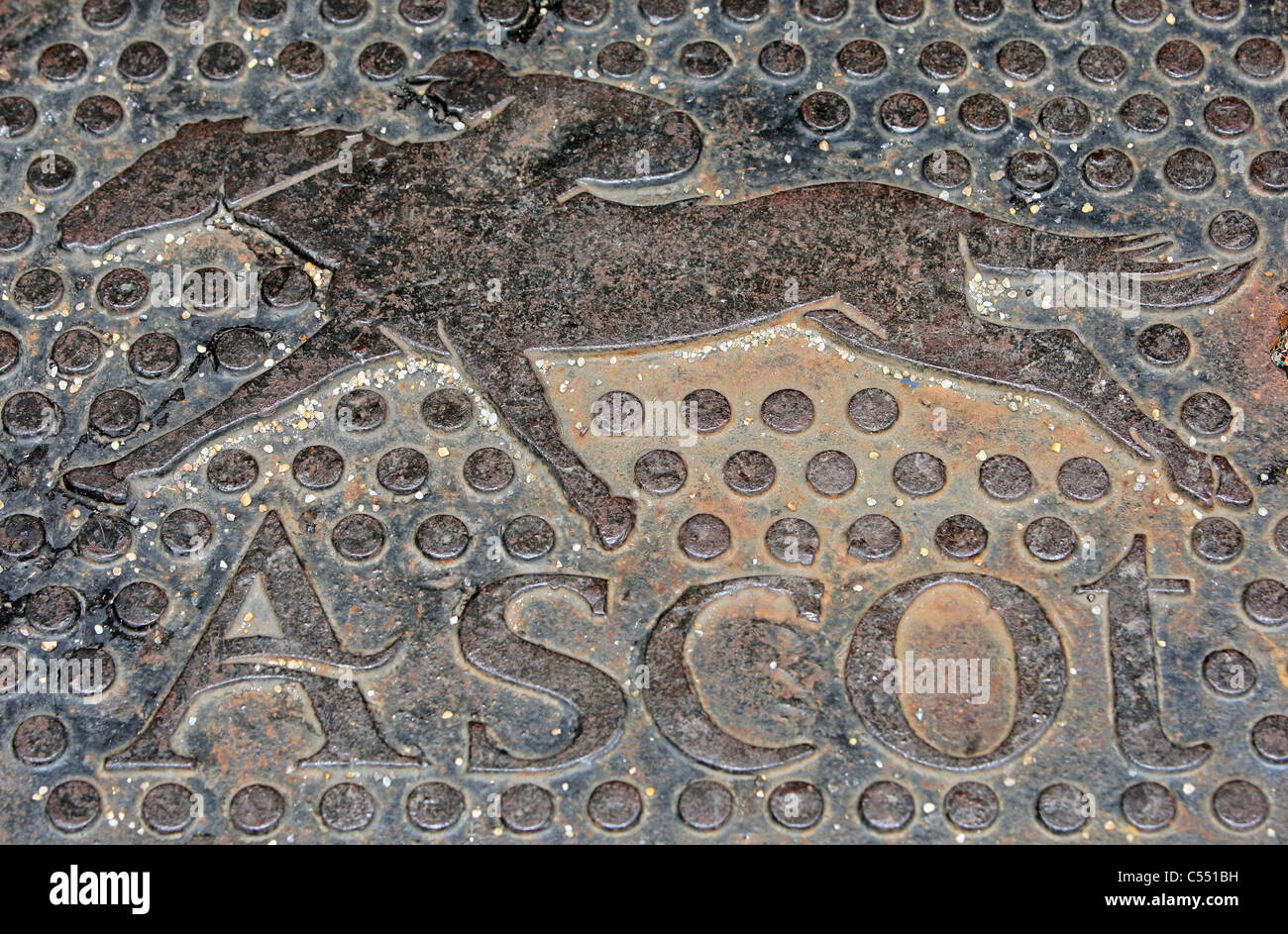 Horse logo hi-res stock photography and images - Alamy