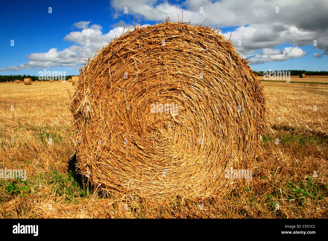 Edward hay hi-res stock photography and images - Alamy